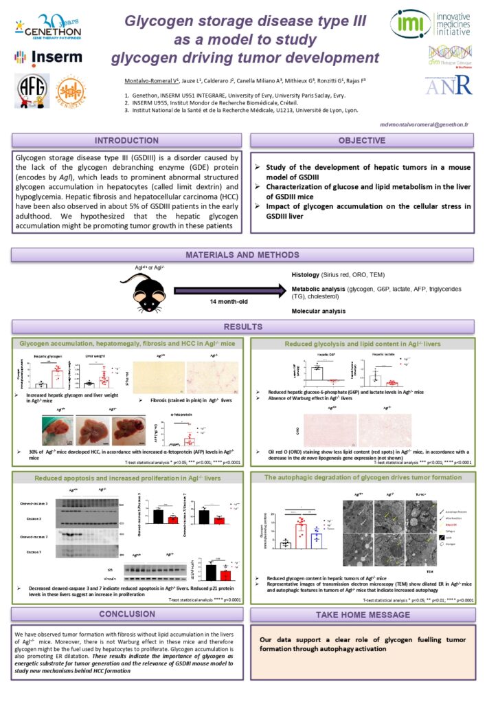 Glycogen storage disease type III as a model to study glycogen driving ...
